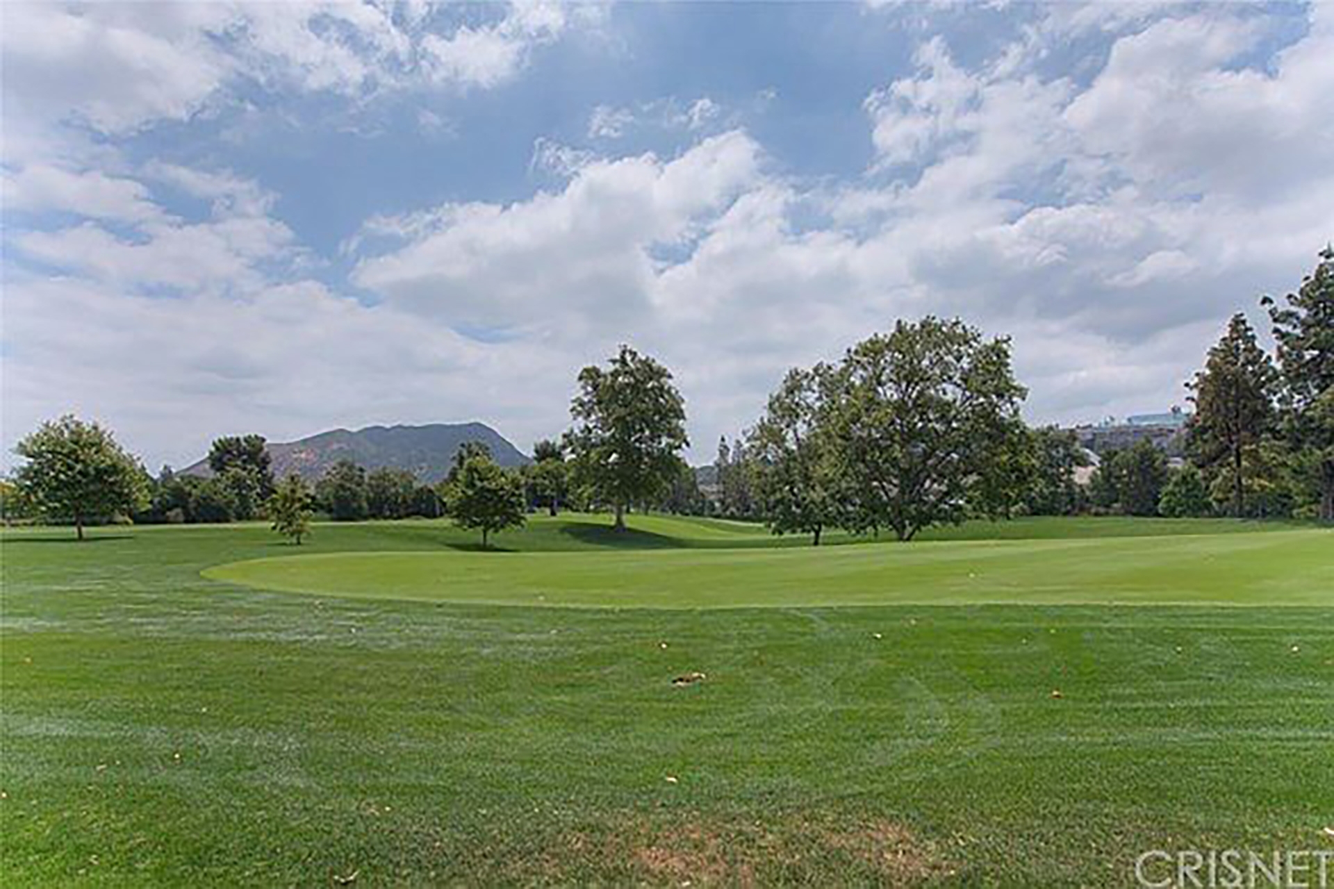 The History, Heritage and Timeless Heirlooms of Harry P. Archinal ...